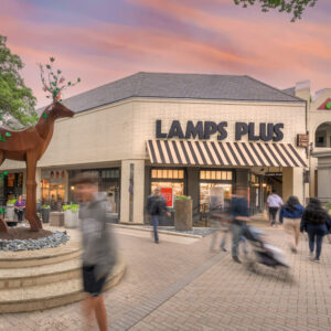 Visit - The Arboretum